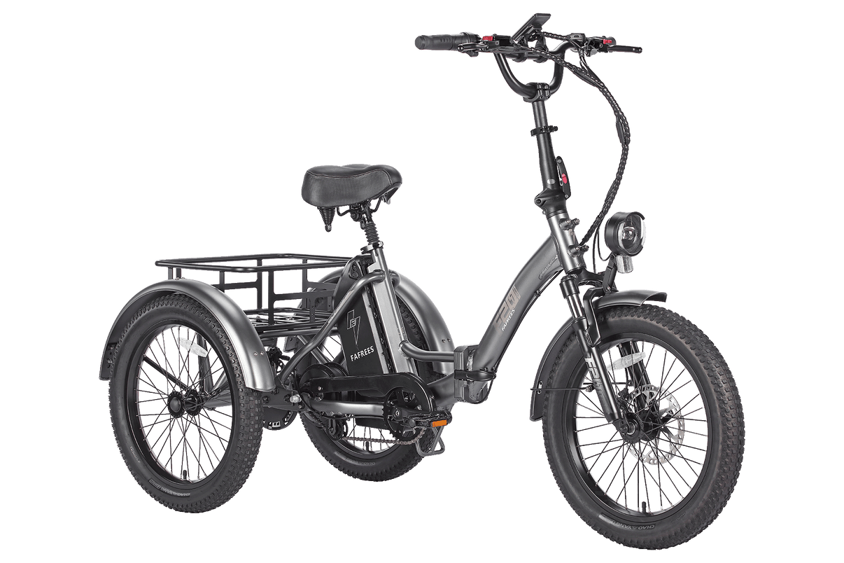 Fafrees F20 Mate Electric Trike: City, Fat Tire, Cargo Ebike, Samsung ...