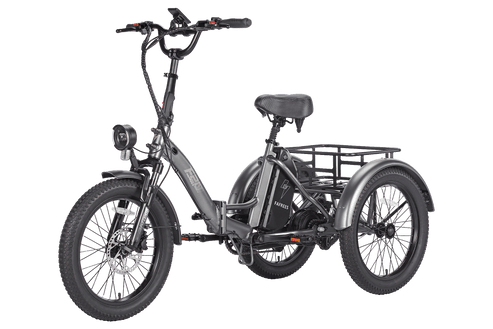 Fafrees F20 Mate Electric Trike: City, Fat Tire, Cargo Ebike, Samsung ...