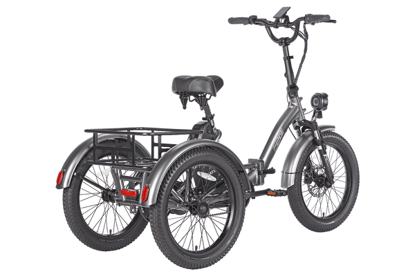 Fafrees F20 Mate Electric Trike: City, Fat Tire, Cargo Ebike, Samsung ...