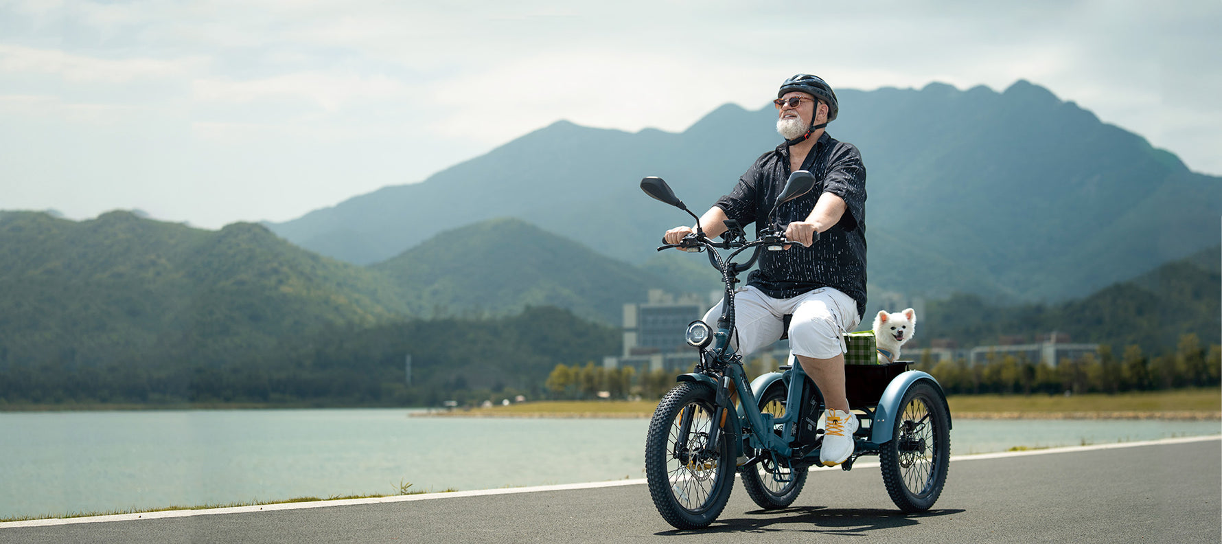 Fafrees Ebike: Folding & City E-Bikes | Fat Tire & Mountain